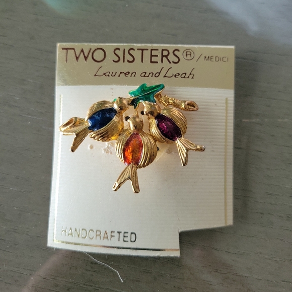 Two Sisters | Jewelry | Turtle Brooch Colorful Two Sisters Fashion ...